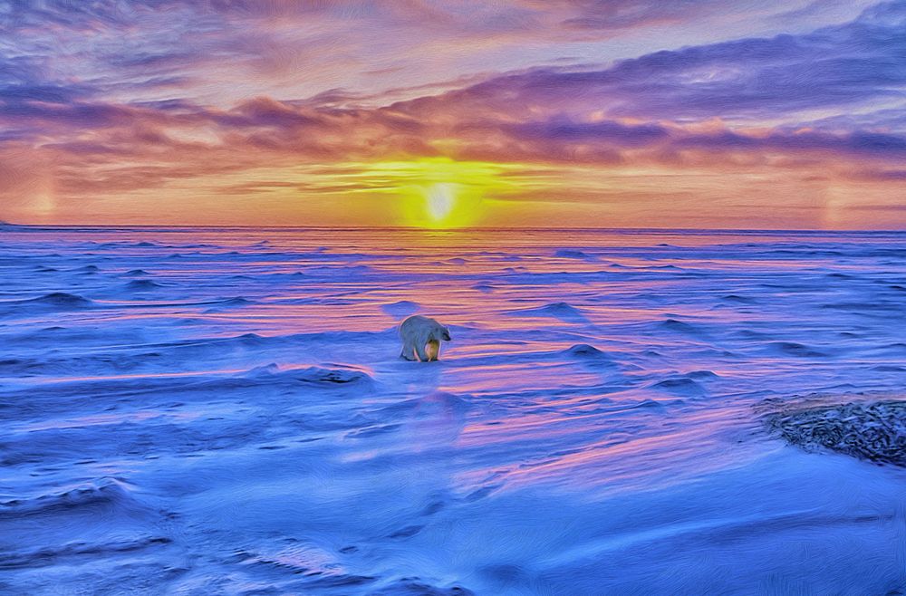 Tundra - Toda Matéria