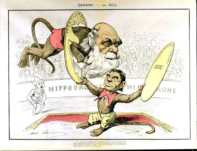 O que é o Darwinismo: entenda sobre a teoria de Charles Darwin - Toda ...