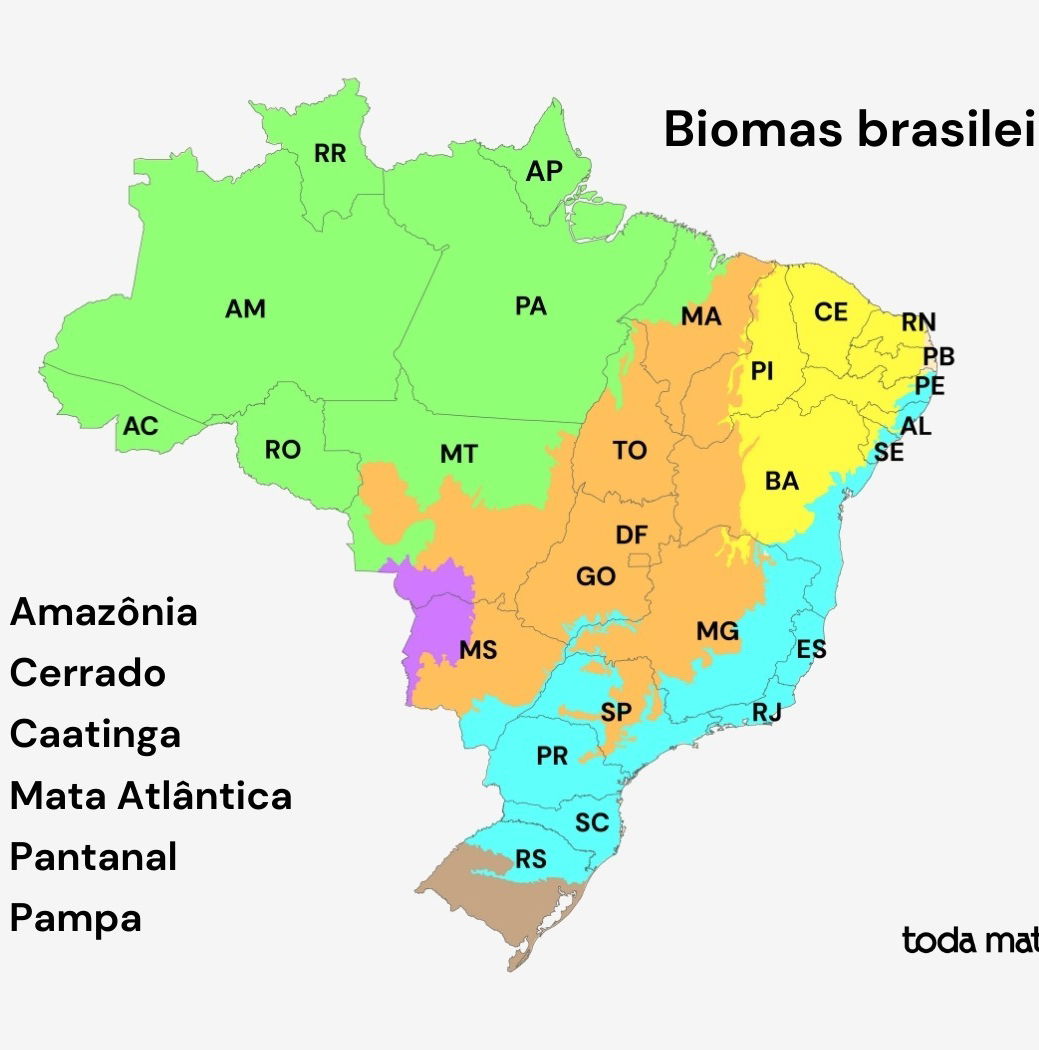Mapa Do Bioma Aquatico Galeria
