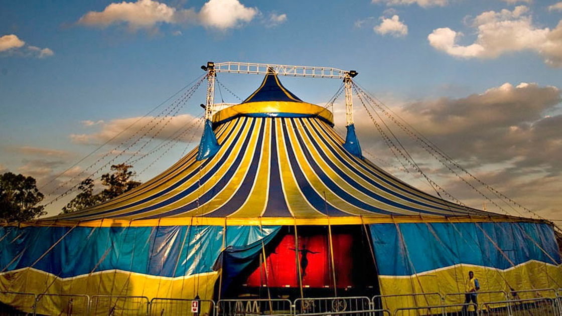 Você sabe o que é Circo Tradicional? E o que é Circo Novo? Já💔 Mergulhe ...