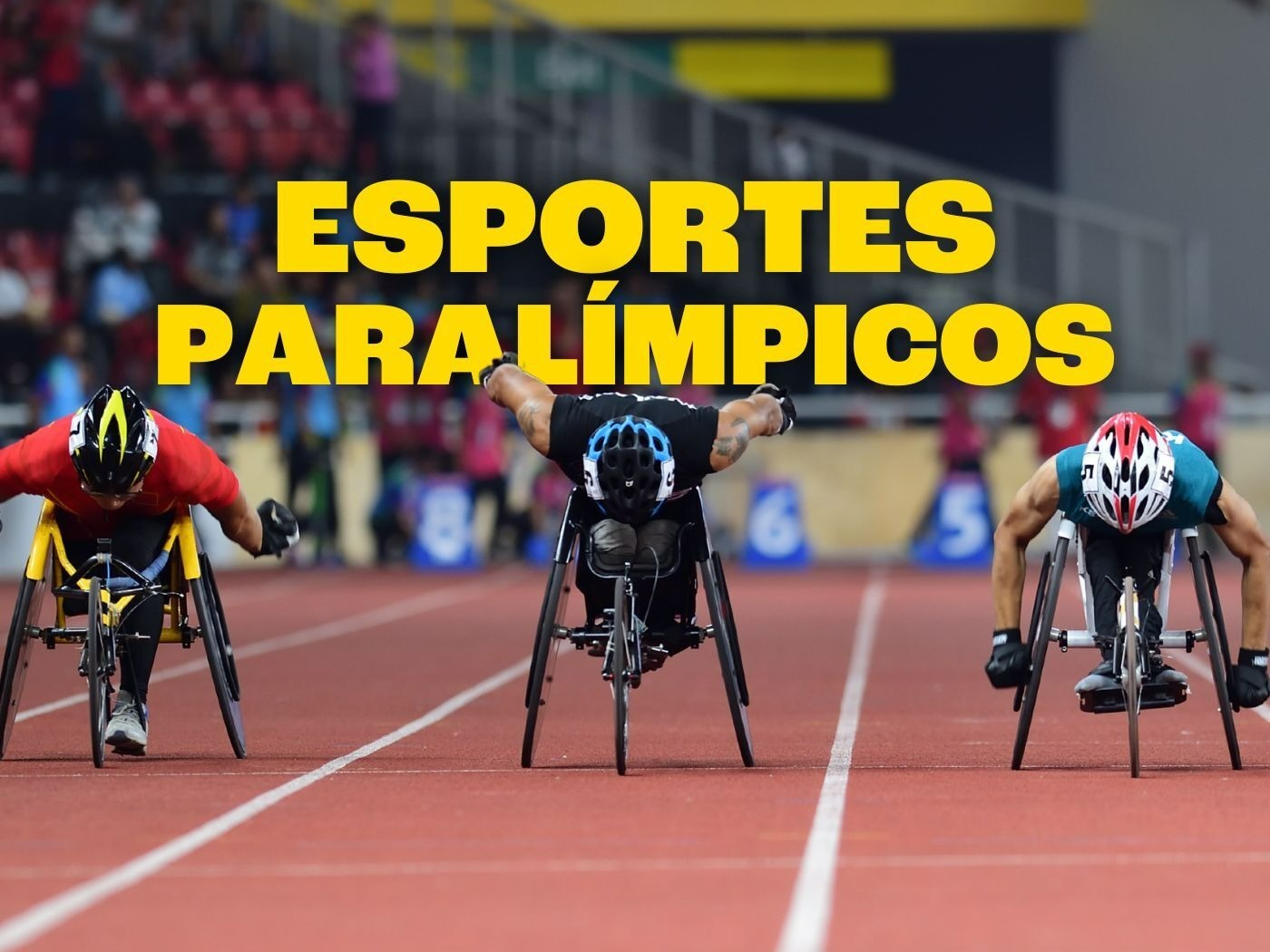 Esportes paralímpicos (quais são e como funcionam as suas regras ...
