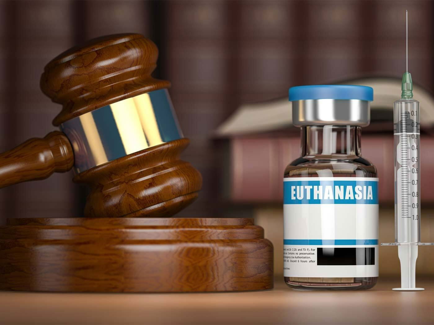 Eutanásia: entenda o que é e como funciona (argumentos prós e contras ...