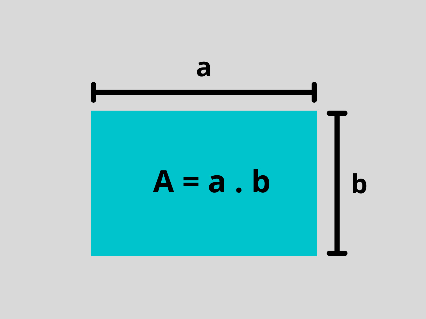 Exercícios sobre área de retângulos (respostas explicadas) - Toda Matéria