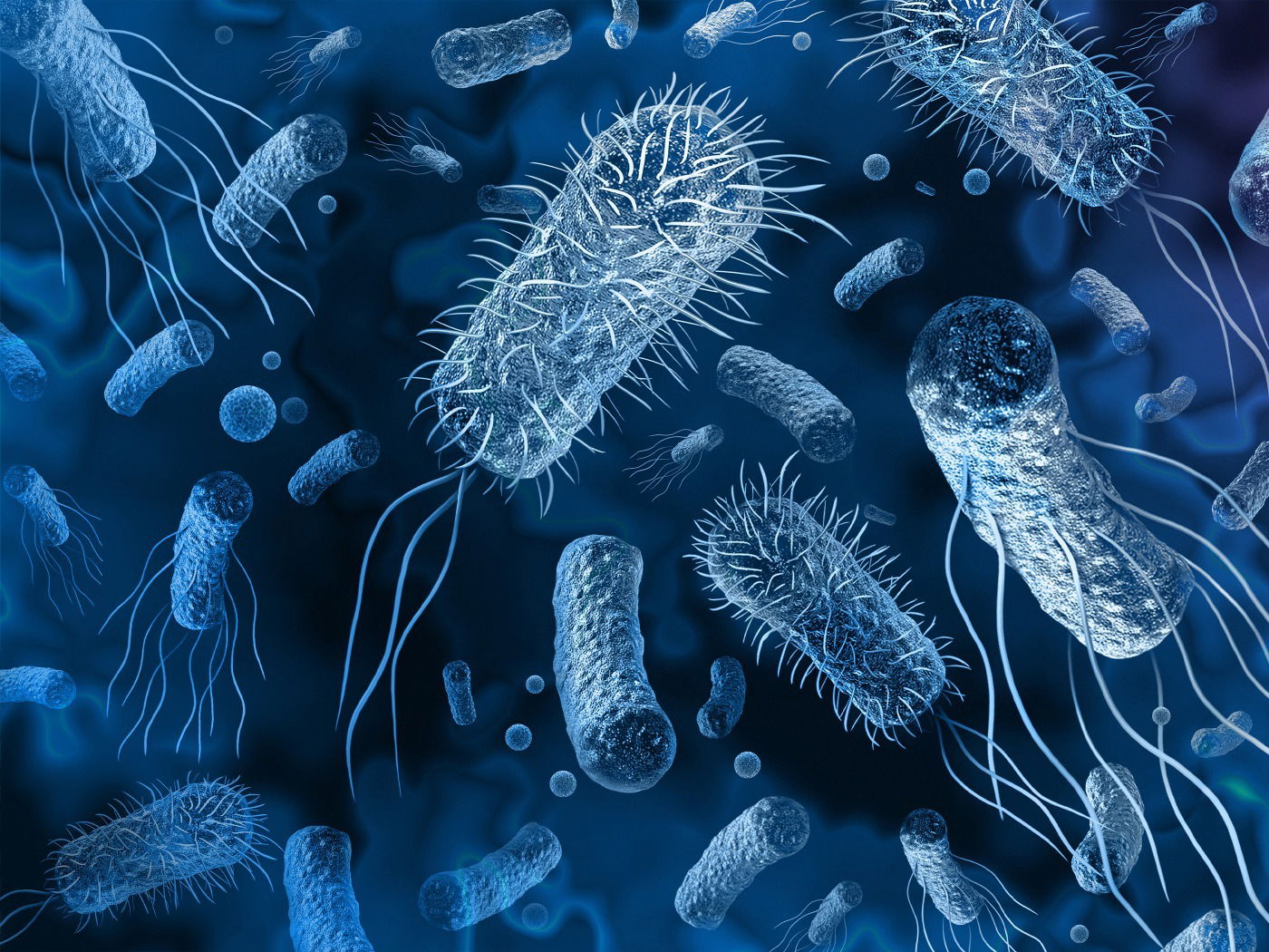 Exercícios sobre bactérias - Toda Matéria