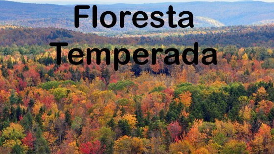 Mapa De Floresta Decidua Temperada