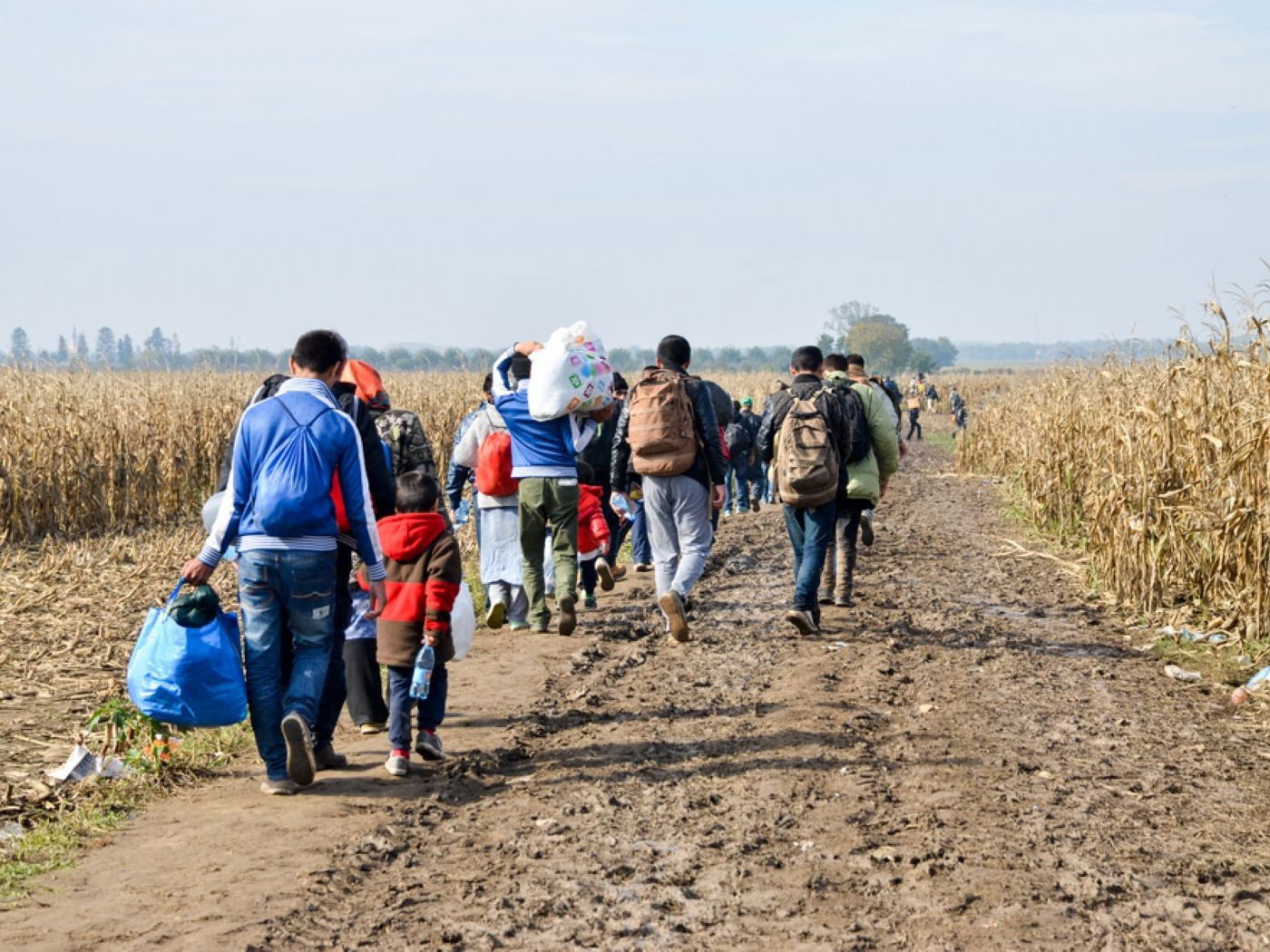 Migração: entenda o que é e os principais tipos - Toda Matéria