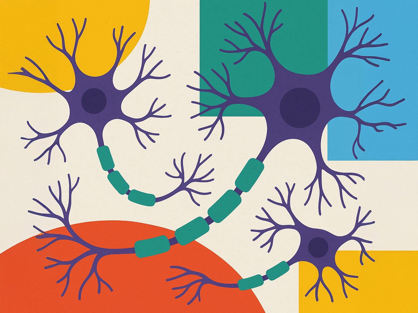 Tipos De Neuronios E Suas Funcoes