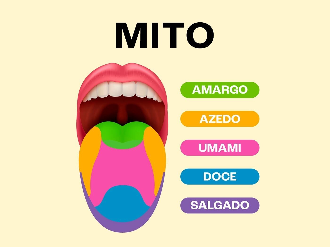 Sentido Do Paladar Exercitando O Paladar Ativar Sentidos