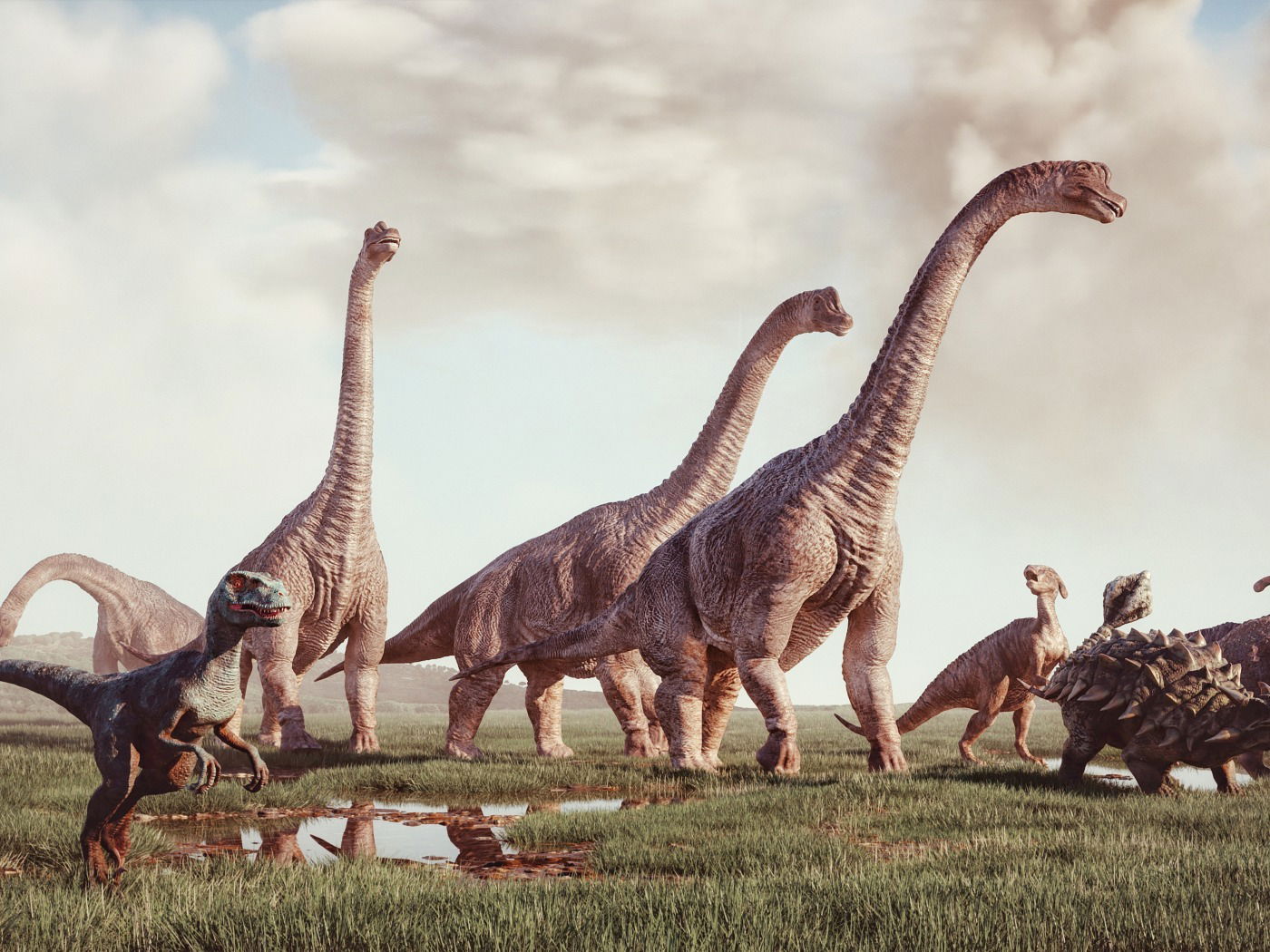 Plantas E Animais Do Periodo Terciario Do Cativeiro à Vida Boa No