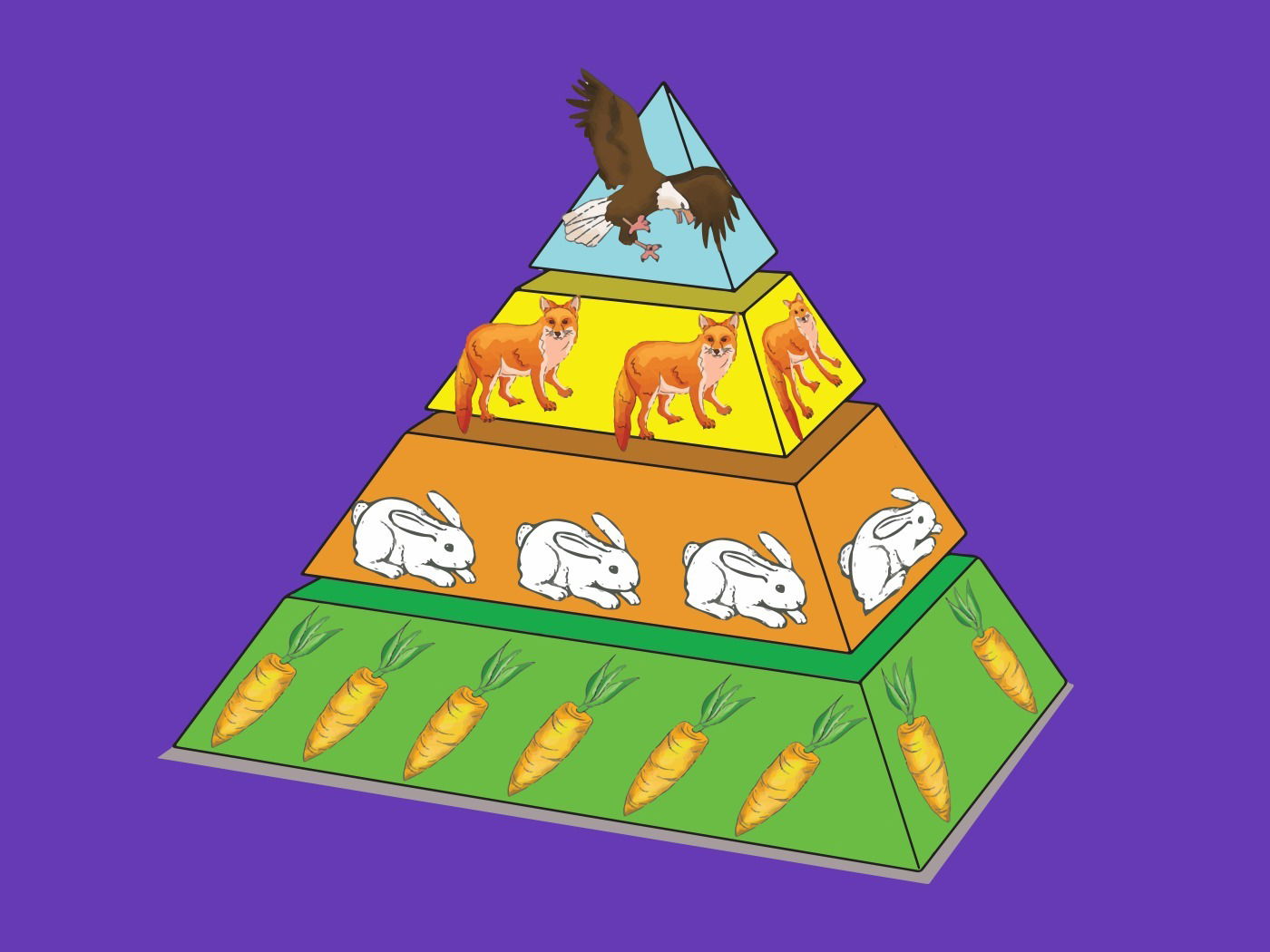 Modelo De Piramide Com 5 Niveis Os Três Níveis Da Pirâmide
