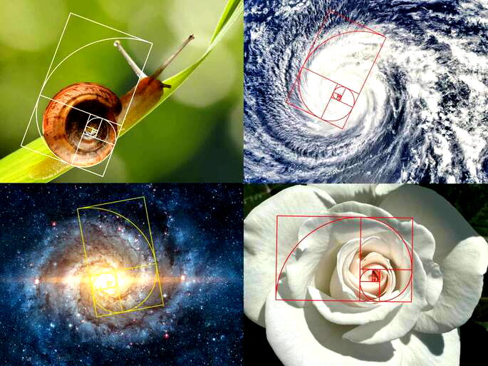 O que é e como calcular a Proporção Áurea - Toda Matéria