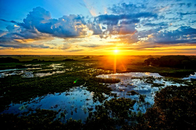 Bioma: o que é, características e exemplos - Toda Matéria