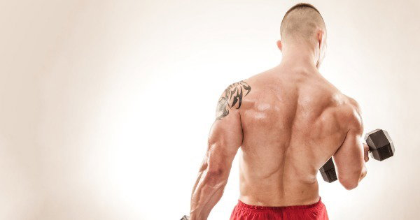 Testosterona: o hormônio masculino - Toda Matéria