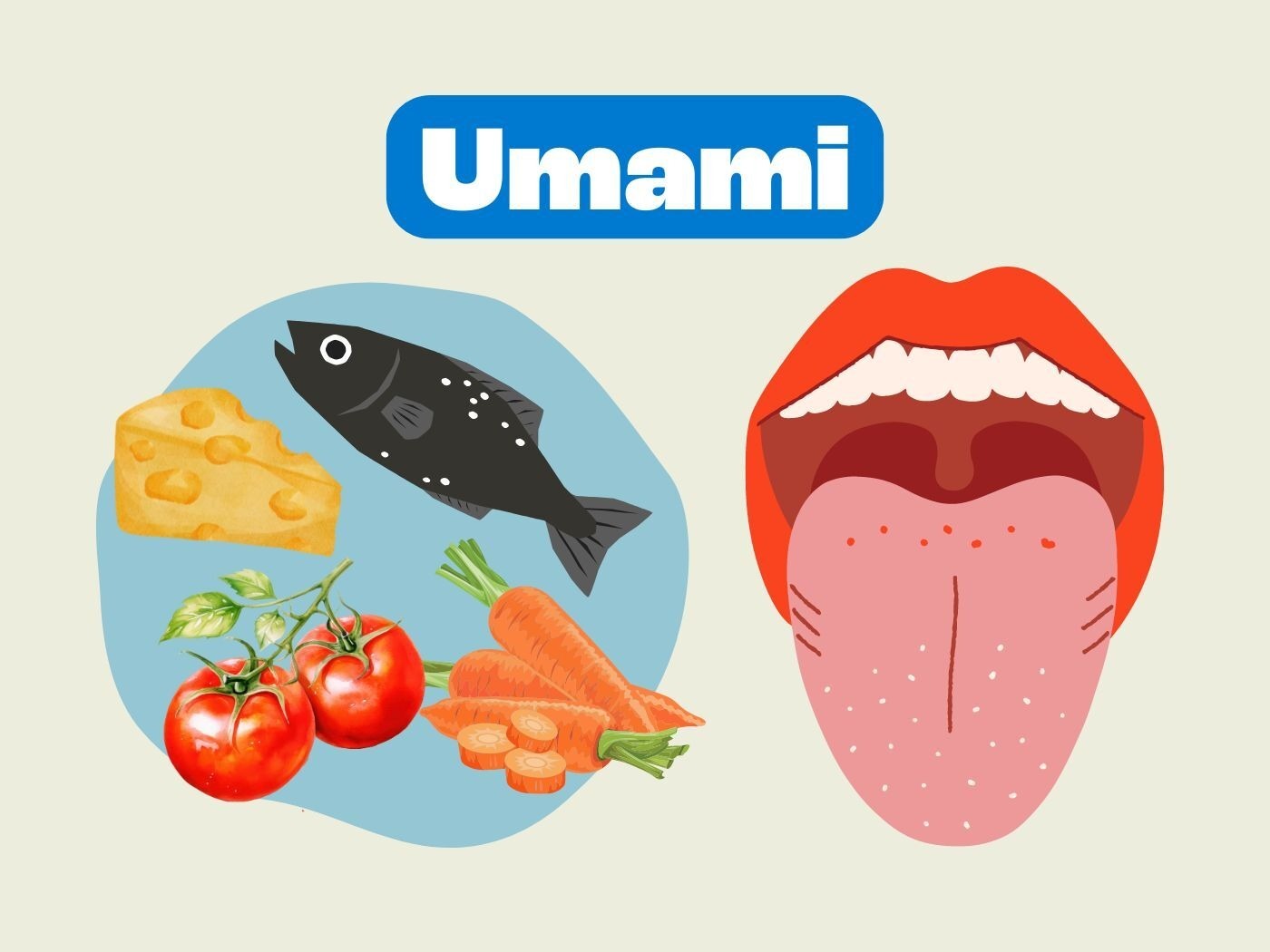 Entendendo o Umami: o quinto sabor do paladar humano - Toda Matéria Entendendo o Umami: o quinto sabor do paladar humano - Toda Matéria