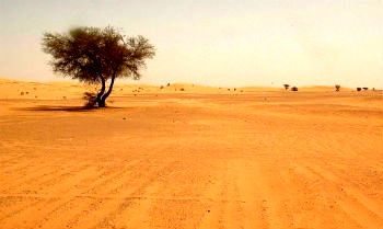 Deserto do Saara: localização e características - Toda Matéria